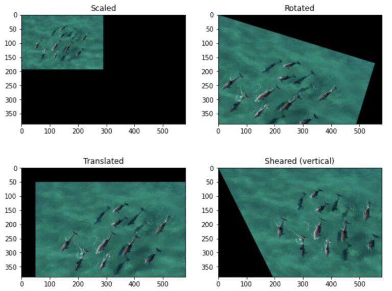 Geometric Transformation, different Interpolation Methods and Color ...
